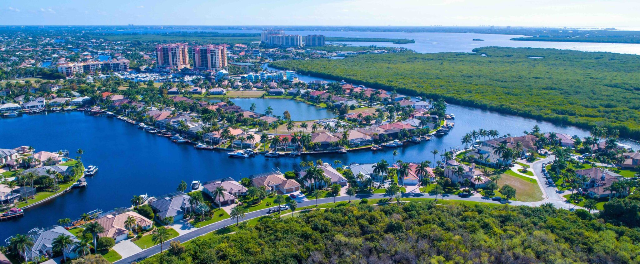 Pest Control Cape Coral FL | Maximum Pest Control - Top Quality Pest ...